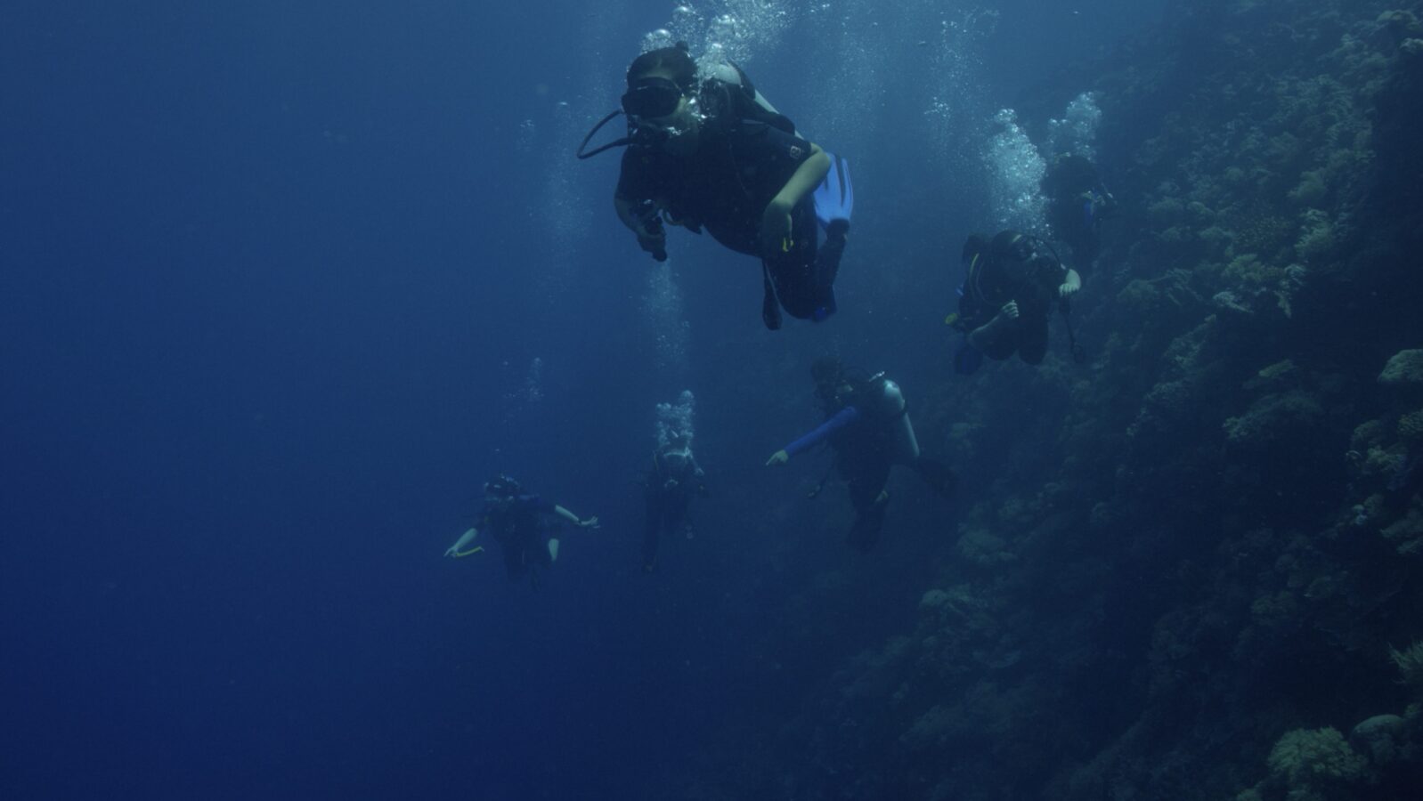 Origin Story - H2OO: Heirs To Our Ocean